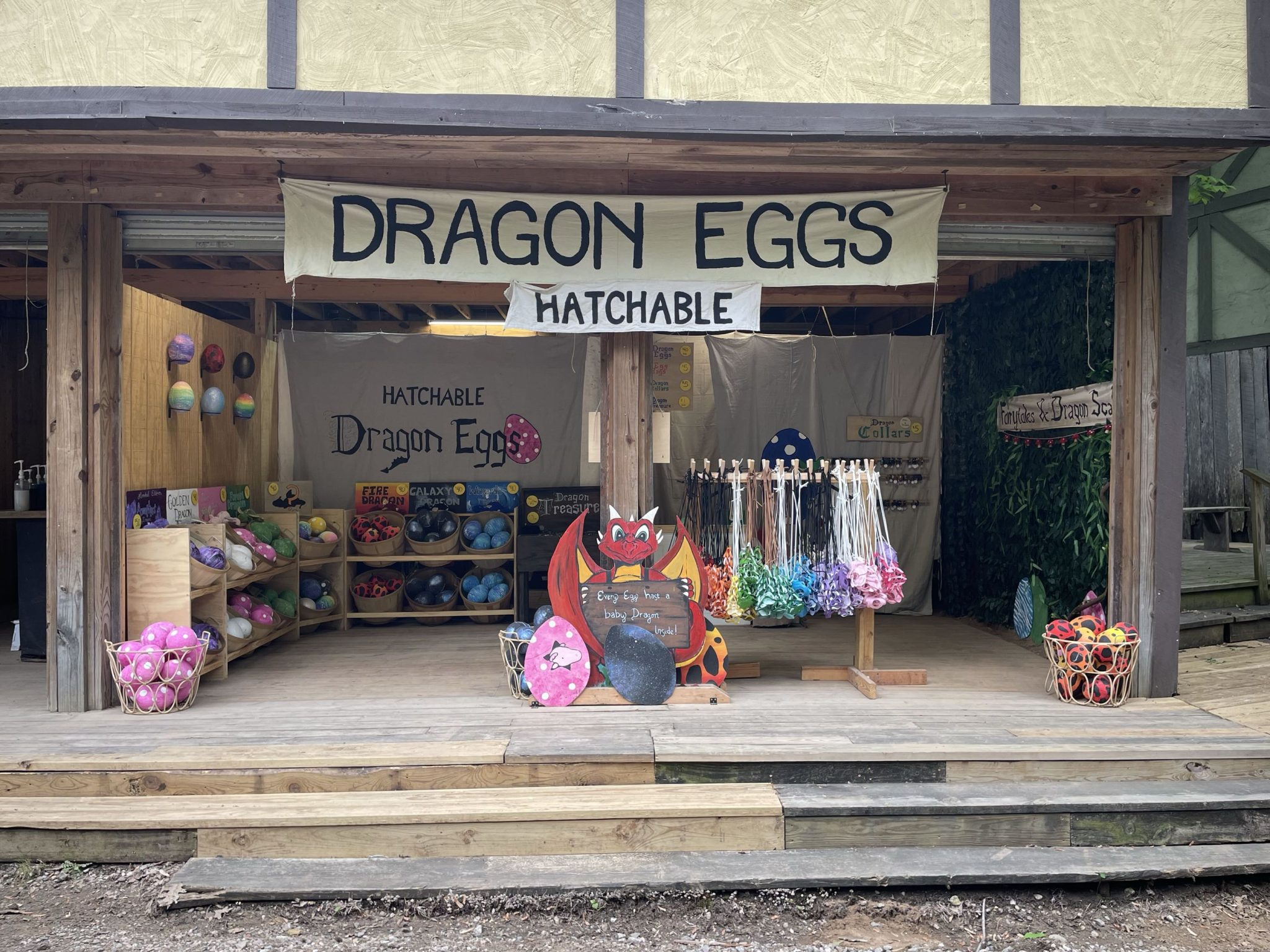 Home - Fairytales and Dragon Scales